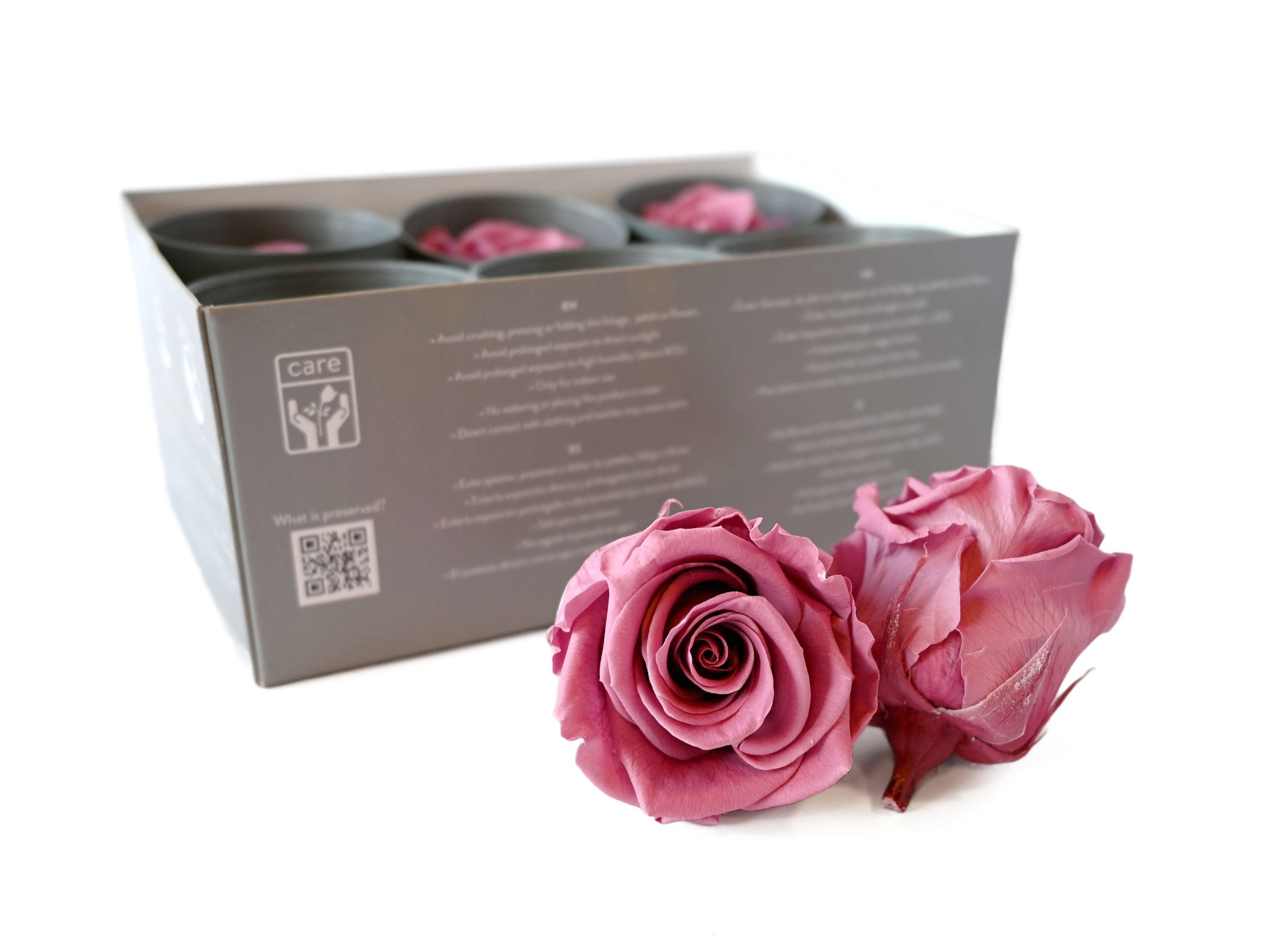 Stabilized Rose Heads "Standart"